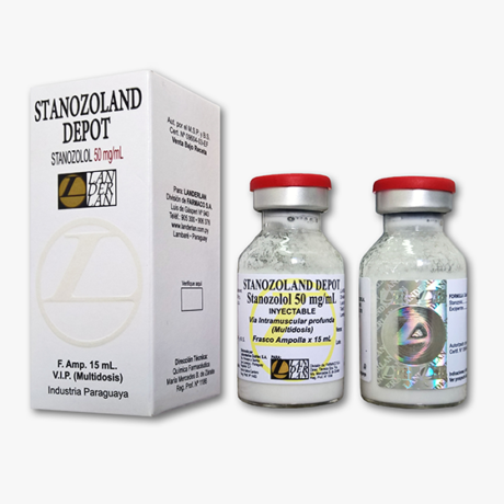 Ciclo de definicion avanzado – Landerlan