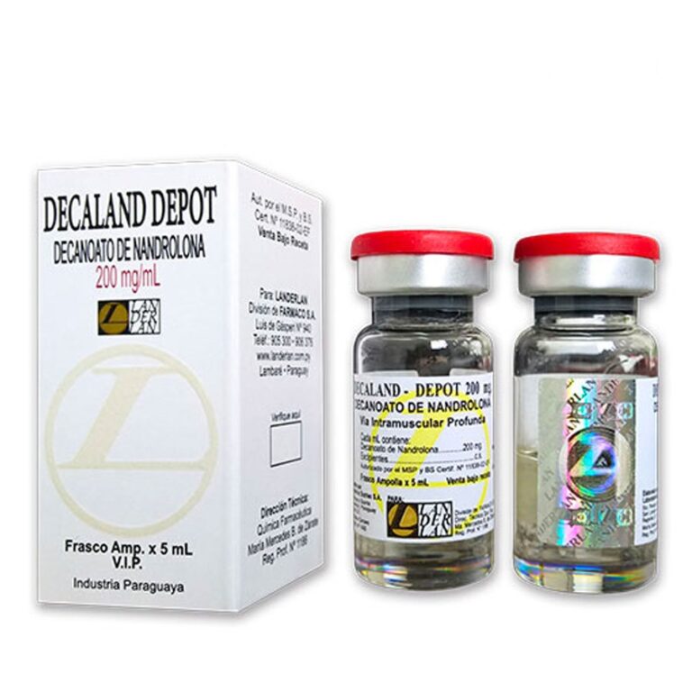 Landerlan – Mayoreo