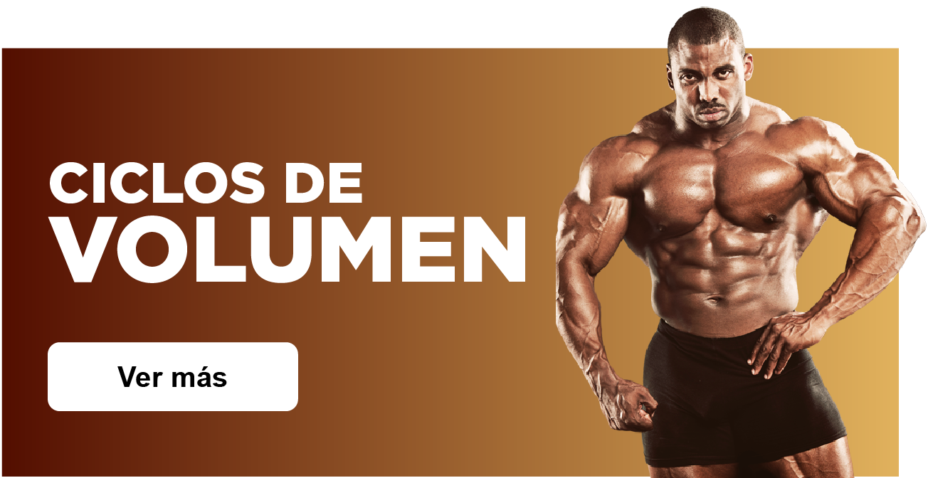 Landerlan – Mayoreo